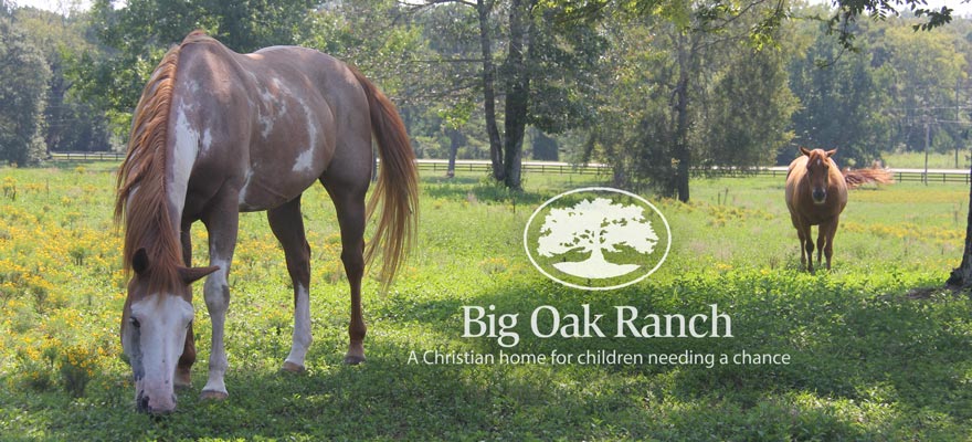 Big Oak Ranch | Tower Homes